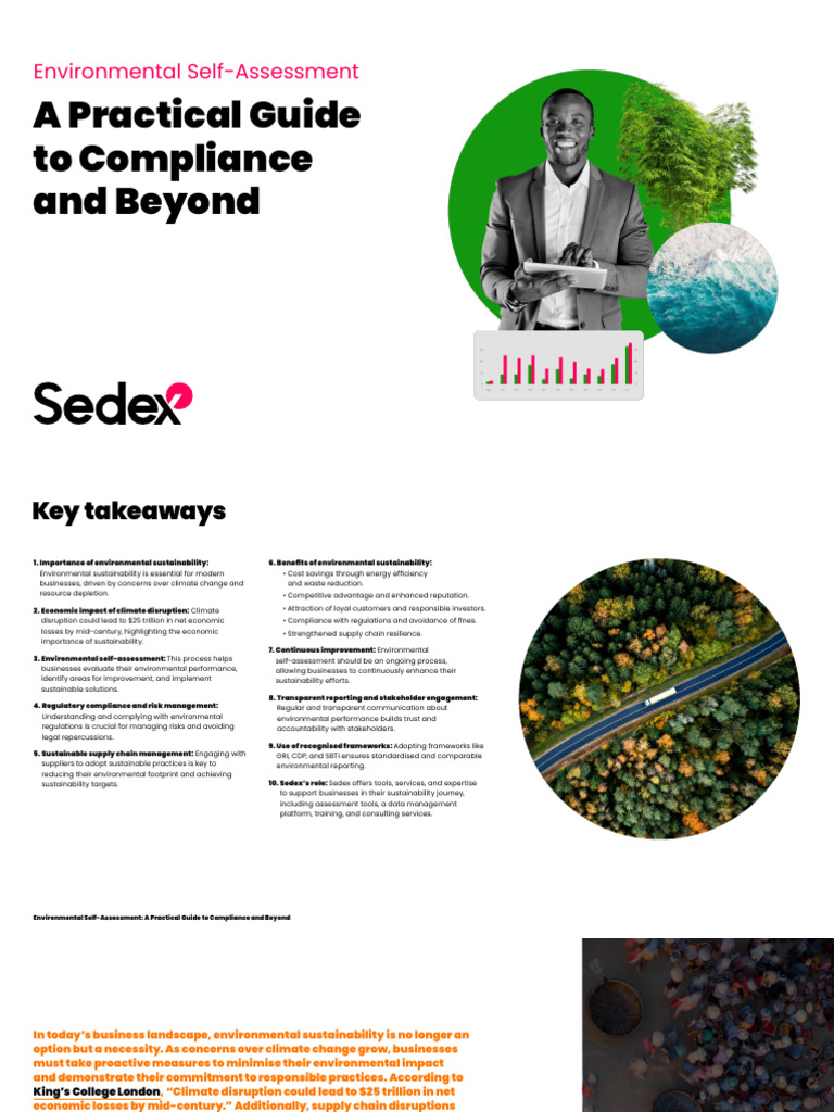 Environmental Self-Assessment Guide | PDF | Sustainability | Supply Chain