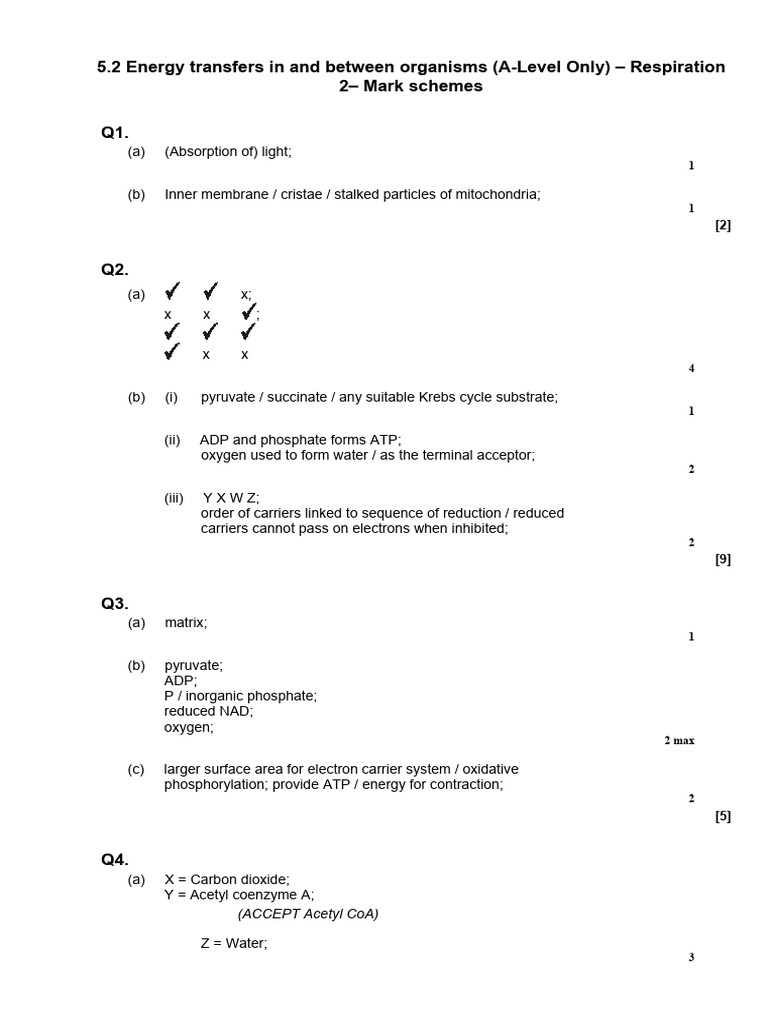 5.2 Energy Transfers in and Between Organisms A Level Only Respiration ...