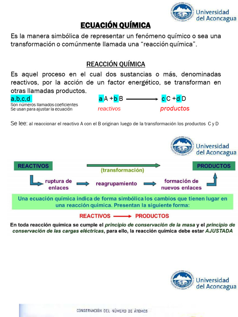 REACCIONES QUÍMICAS - Pdf.uda | PDF | Redox | Combustión