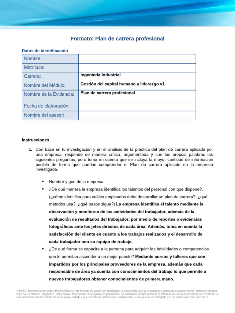 Formato Plan de Carrera Profesional | PDF | Business | Gestión de recursos humanos