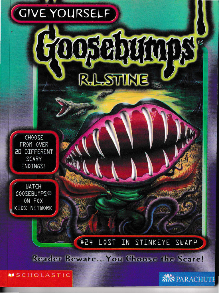 24 Lost in Stinkeye Swamp | PDF | Series Of Books | Books