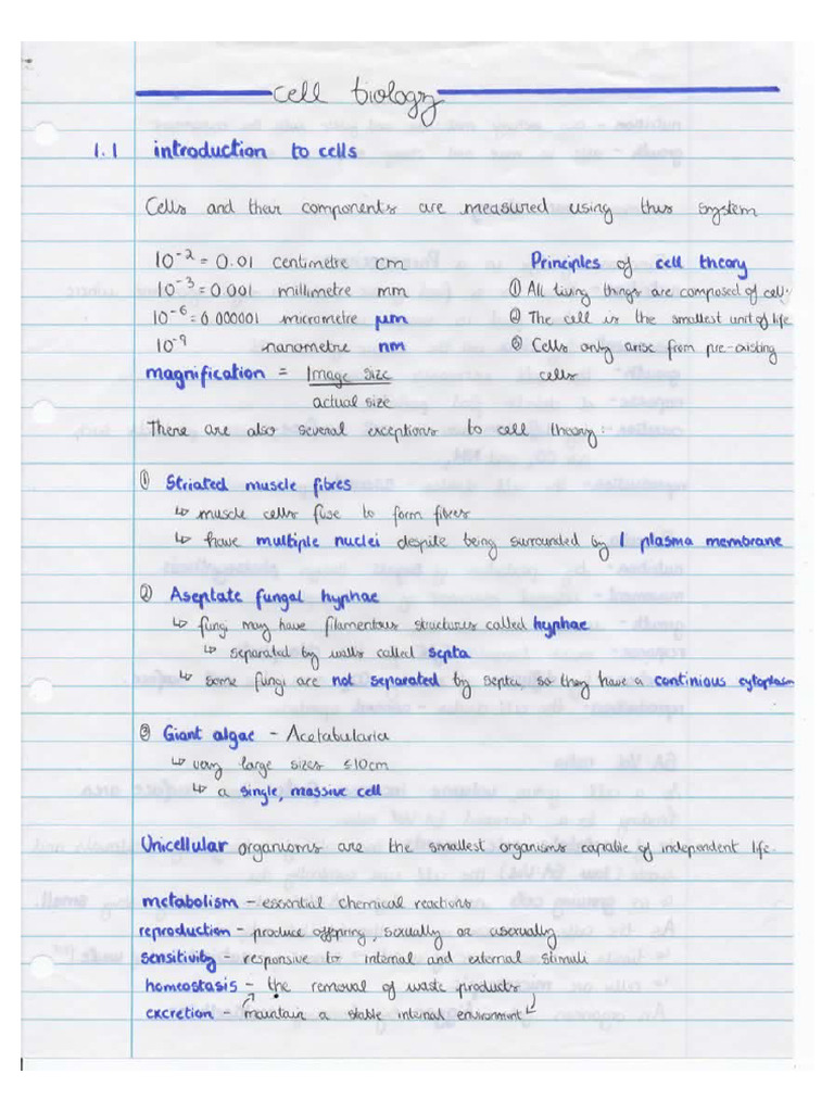 Biology SL Notes | PDF
