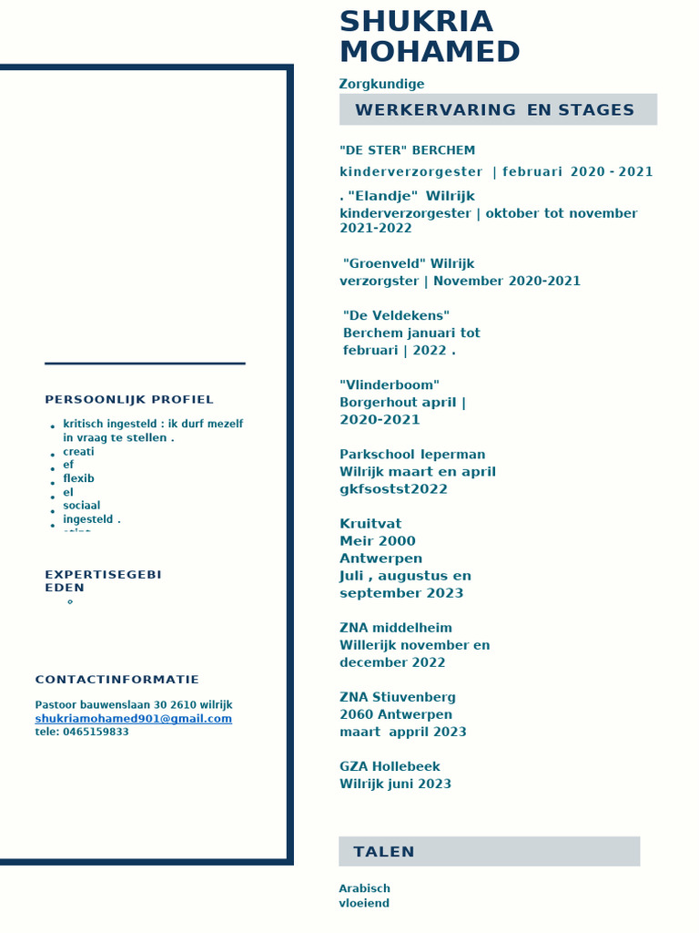 Kopie van Blauw en Grijs Softwareontwikkelaar Technologie Cv (1) | PDF