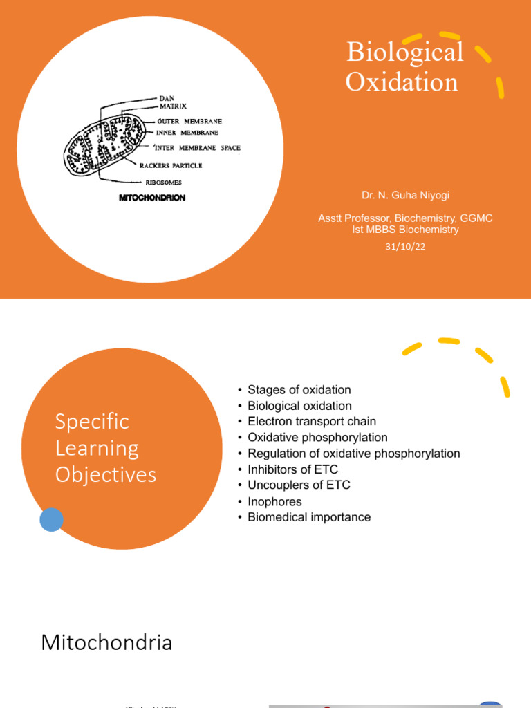 Biological Oxidation | PDF | Electron Transport Chain | Redox