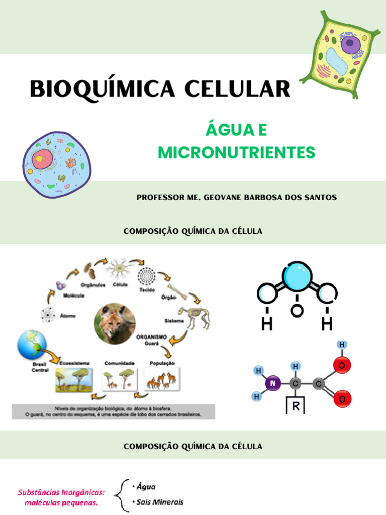 Bioquimica Celular - Aula 1 | PDF | Água | Vitamina