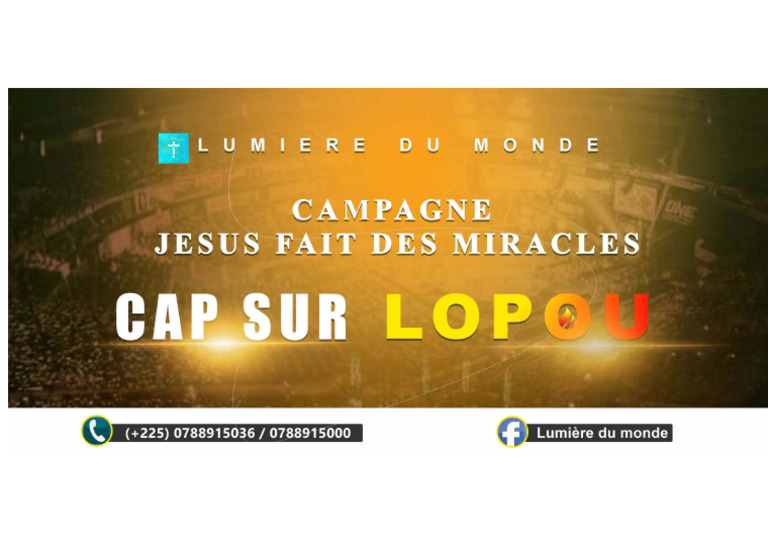 PDFReader_20250129_2345 | PDF