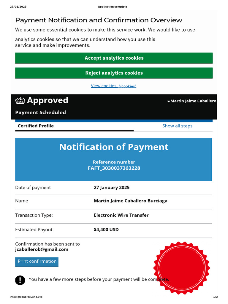 Payment Overview Complete PDF | PDF