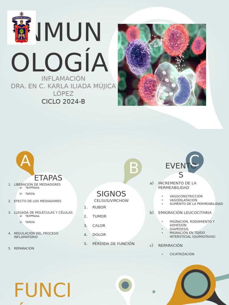 Etapas y Signos de la Inflamación | PDF