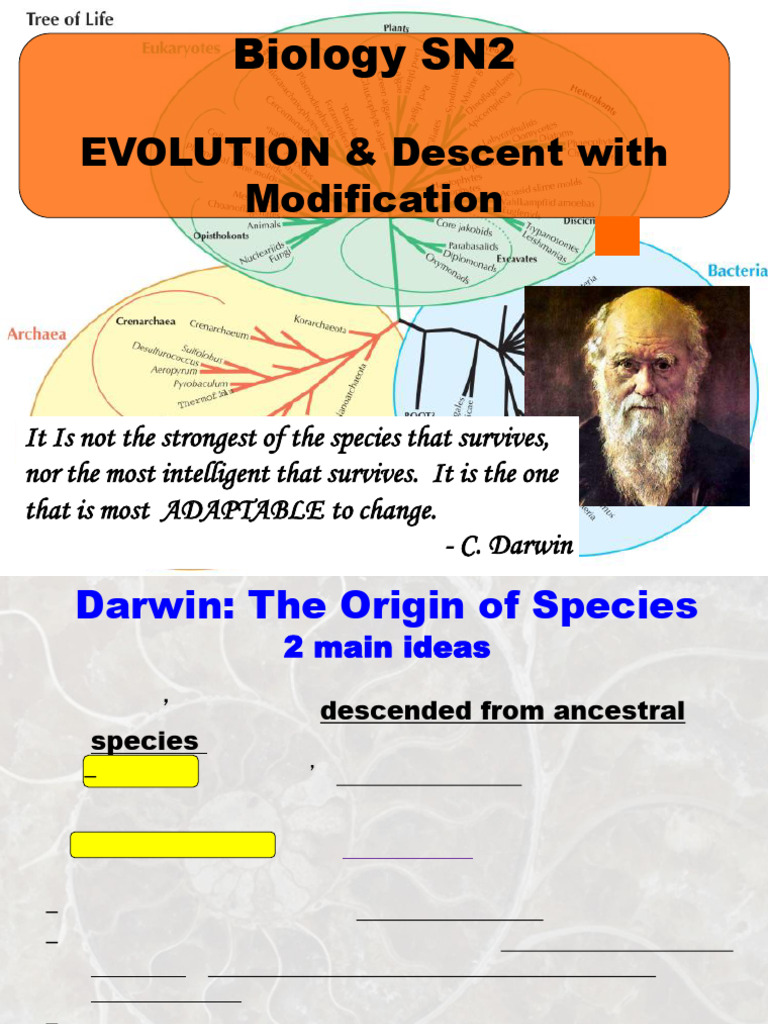 BioSN2Lec2 - Evolution | PDF | Zygosity | Dominance (Genetics)