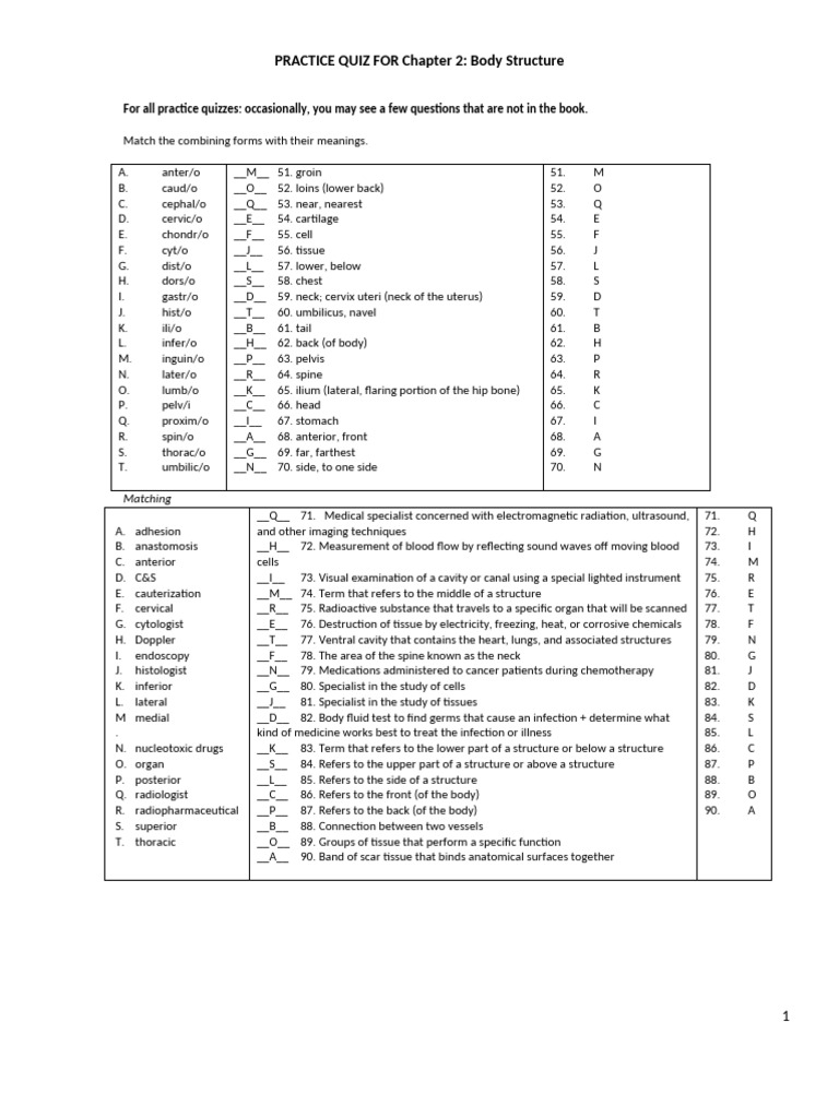 Body Structure Practice Quiz | PDF | Anatomical Terms Of Location | Lung