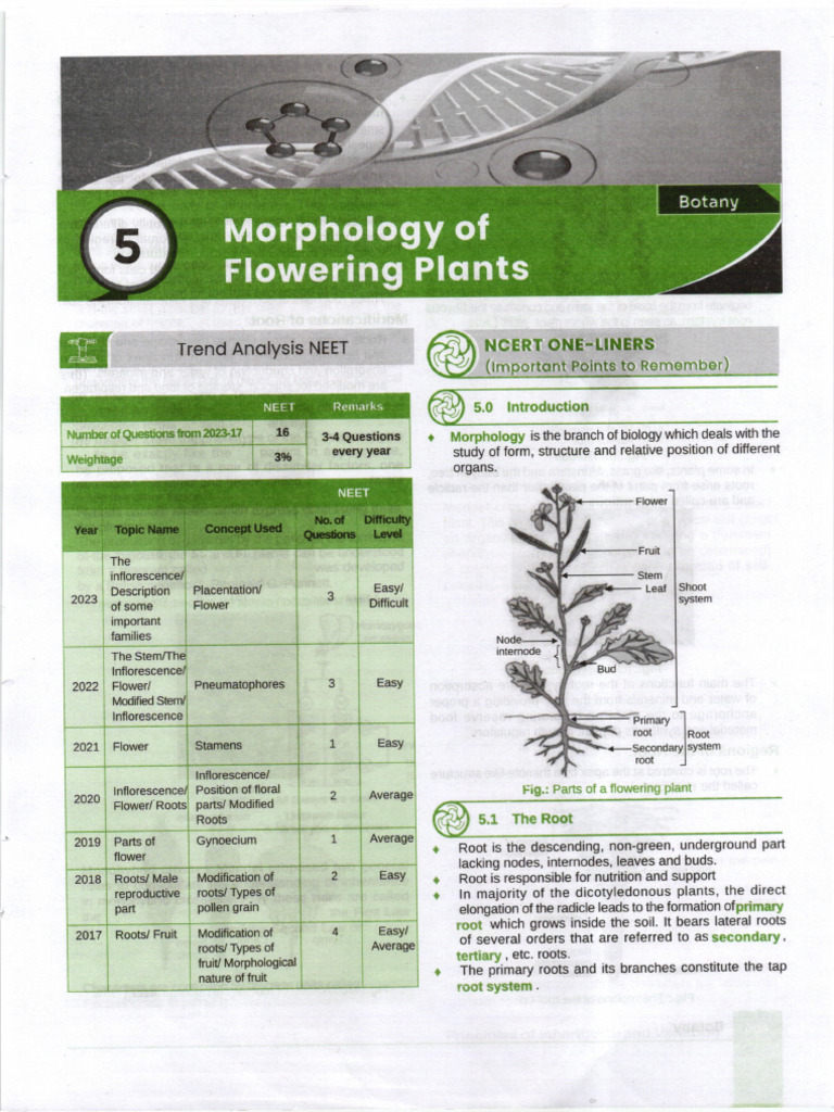 NEET Morphology of Flowering Plants | PDF | Leaf | Flowers