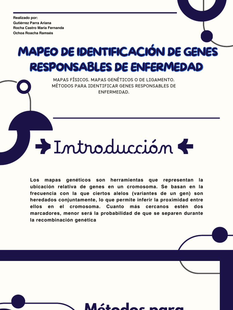 Mapeo e Identificacion de Genes | PDF | Enlace Genético | Haplotipo