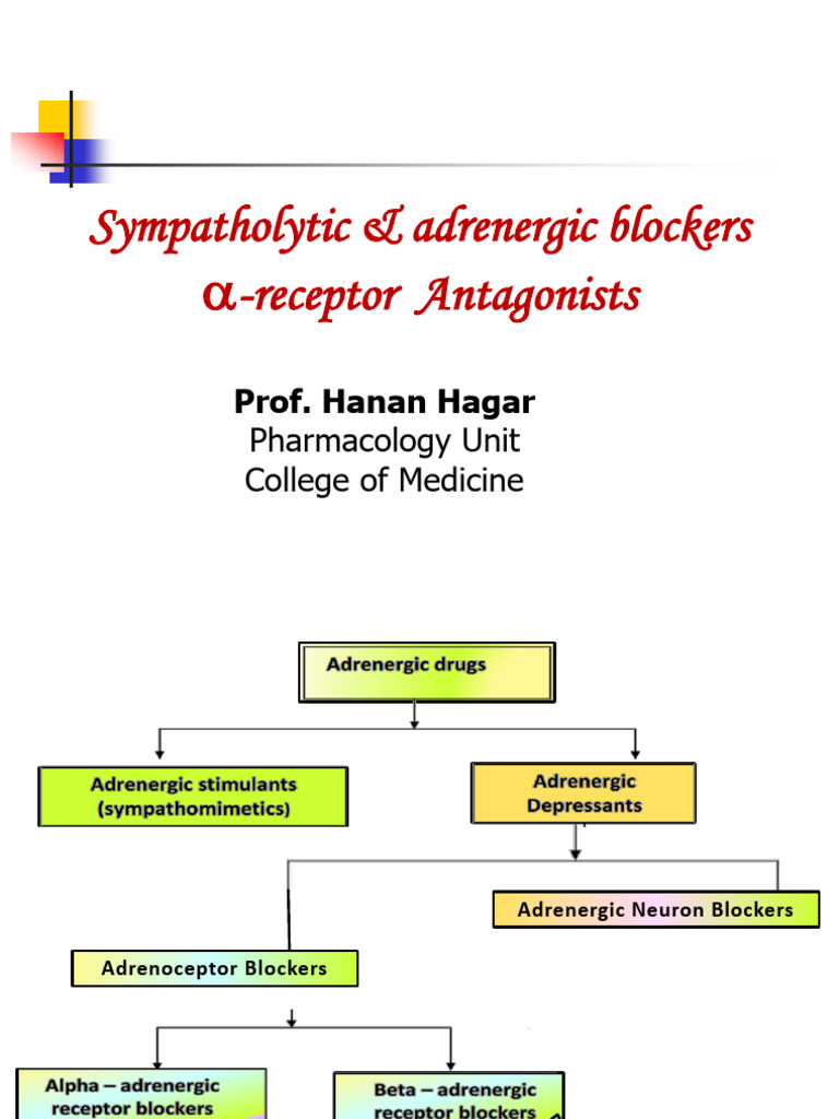 1-alpha-receptor blockers | PDF | Pharmacology | Cardiovascular System