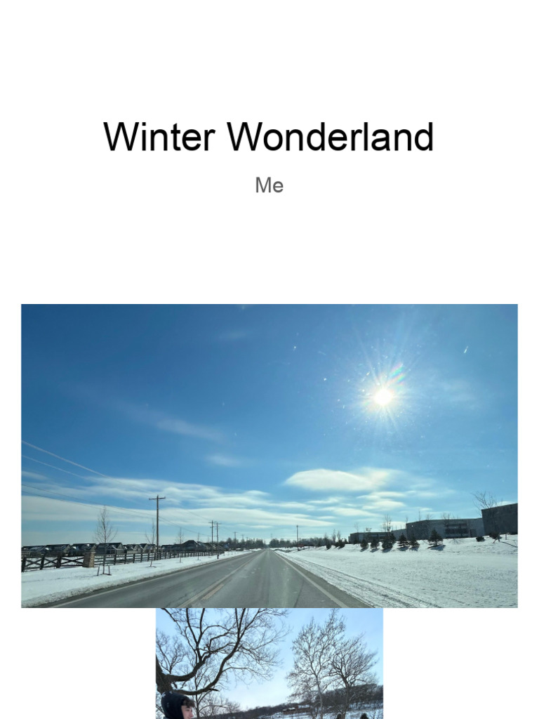 Winter Wonderland | PDF