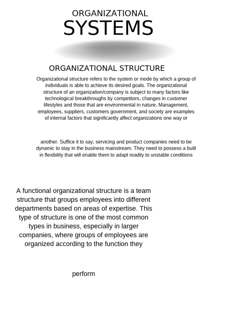 ORGANIZATIONAL SYSTEMS | PDF | Organizational Structure | Marketing