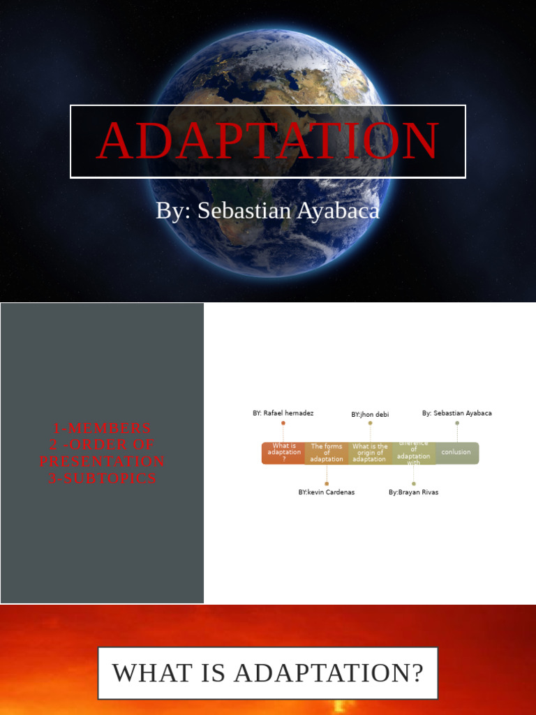 Adaptation | PDF