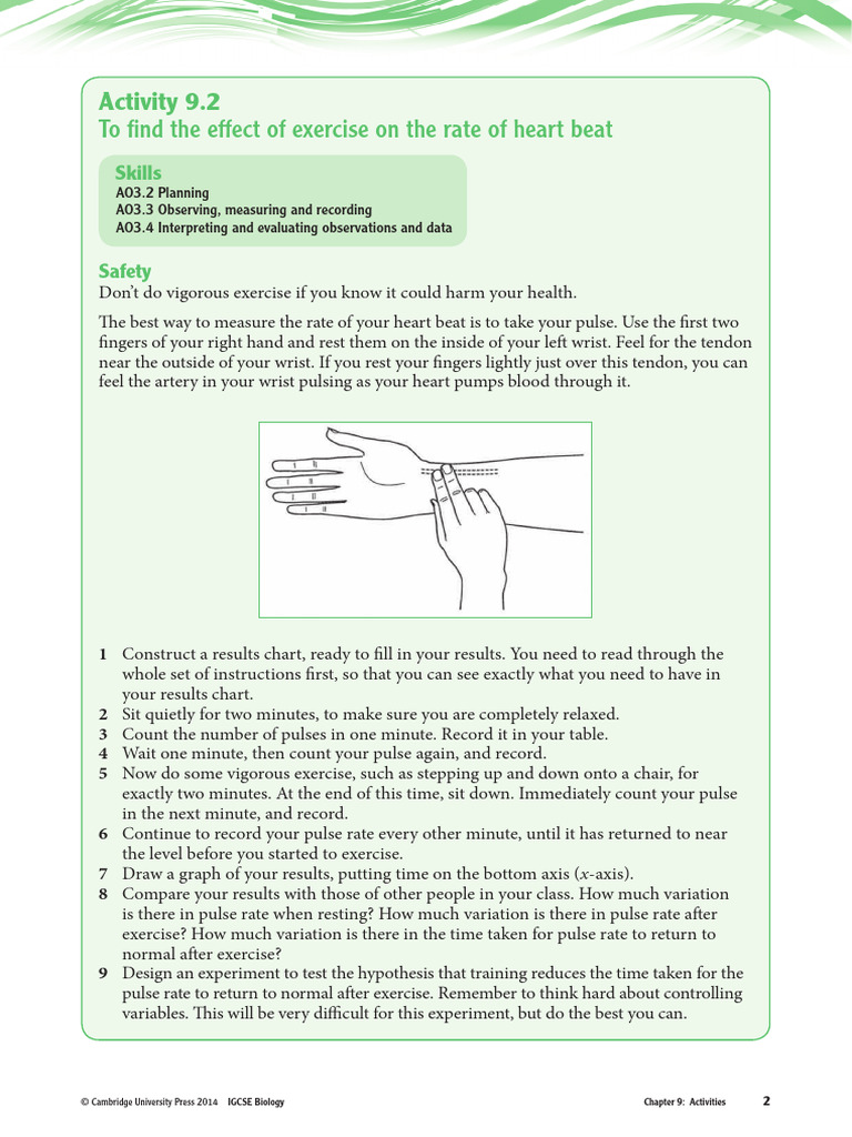 Activity_9.2_breathing on Heart Rate | PDF