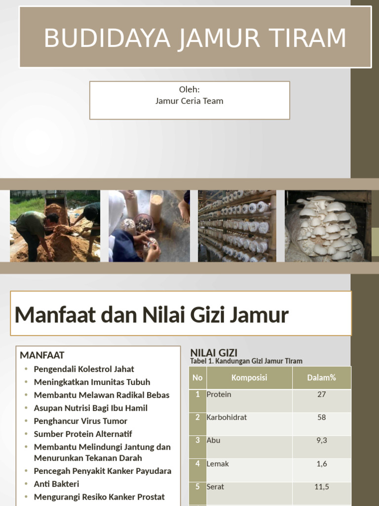 Budidaya Jamur Tiram: Manfaat & Proses | PDF