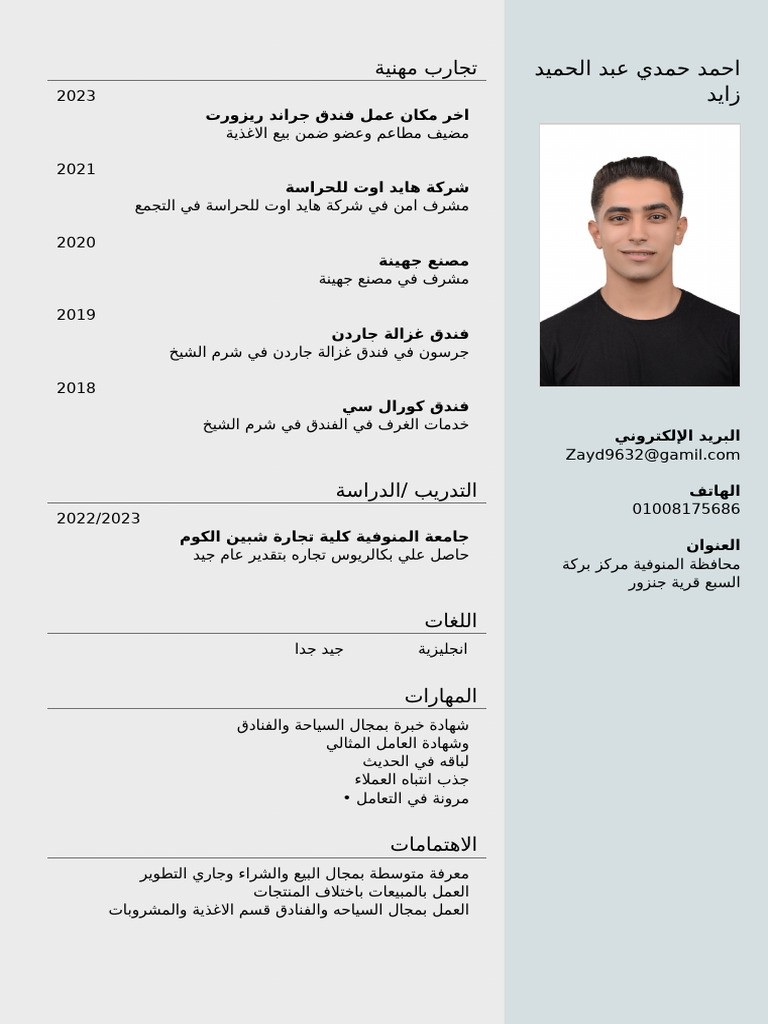 Arabic CV | PDF