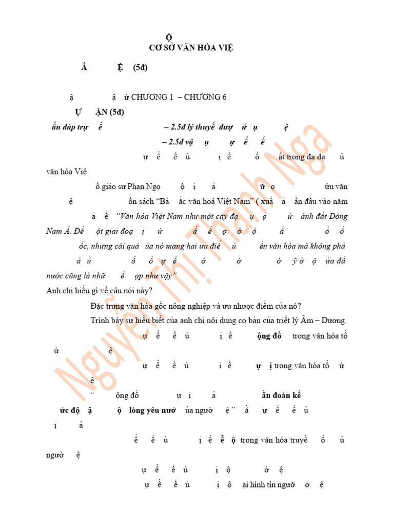 N I DUNG ÔN THI CSVH | PDF