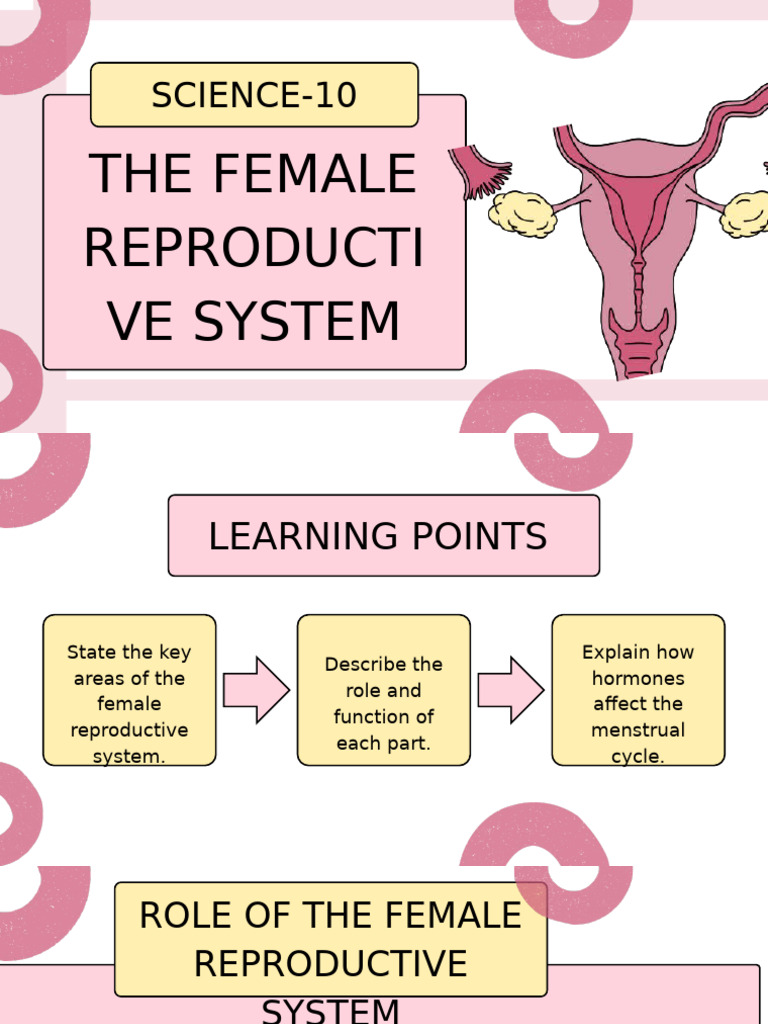 Female Reproductive System Biology Presentation in A Pink Bold Style ...