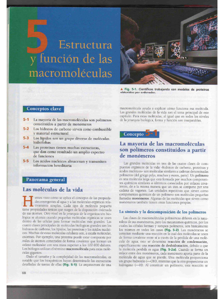 Campbell Macromoleculas | PDF