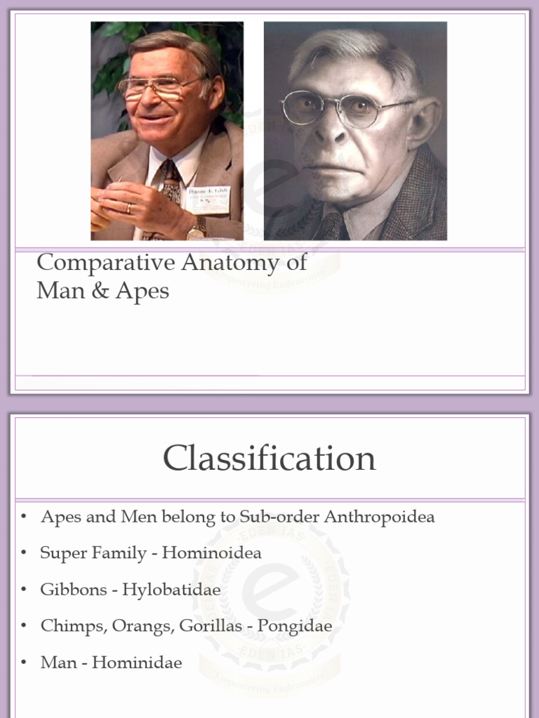 Comparative Anatomy: Humans vs. Apes | PDF | Ape | Chimpanzee