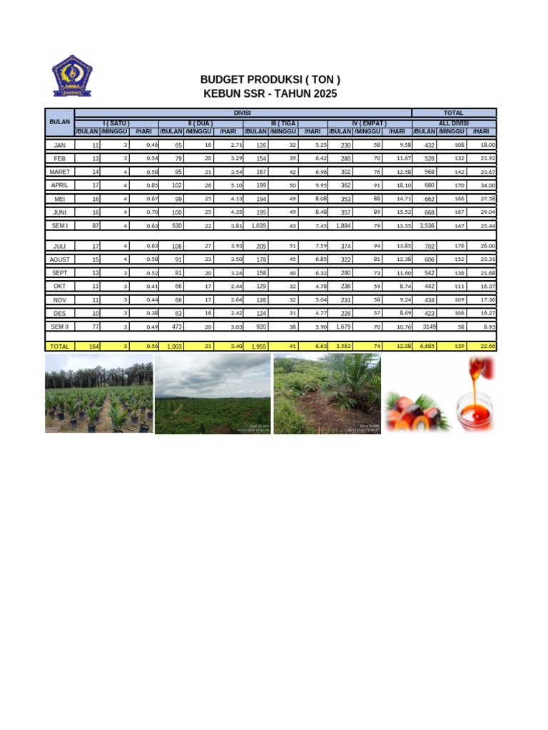 Budget Perhari SSR - RS 2025 | PDF