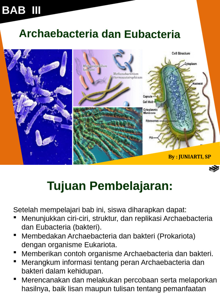 Archaebacteria Dan Eubacteria | PDF