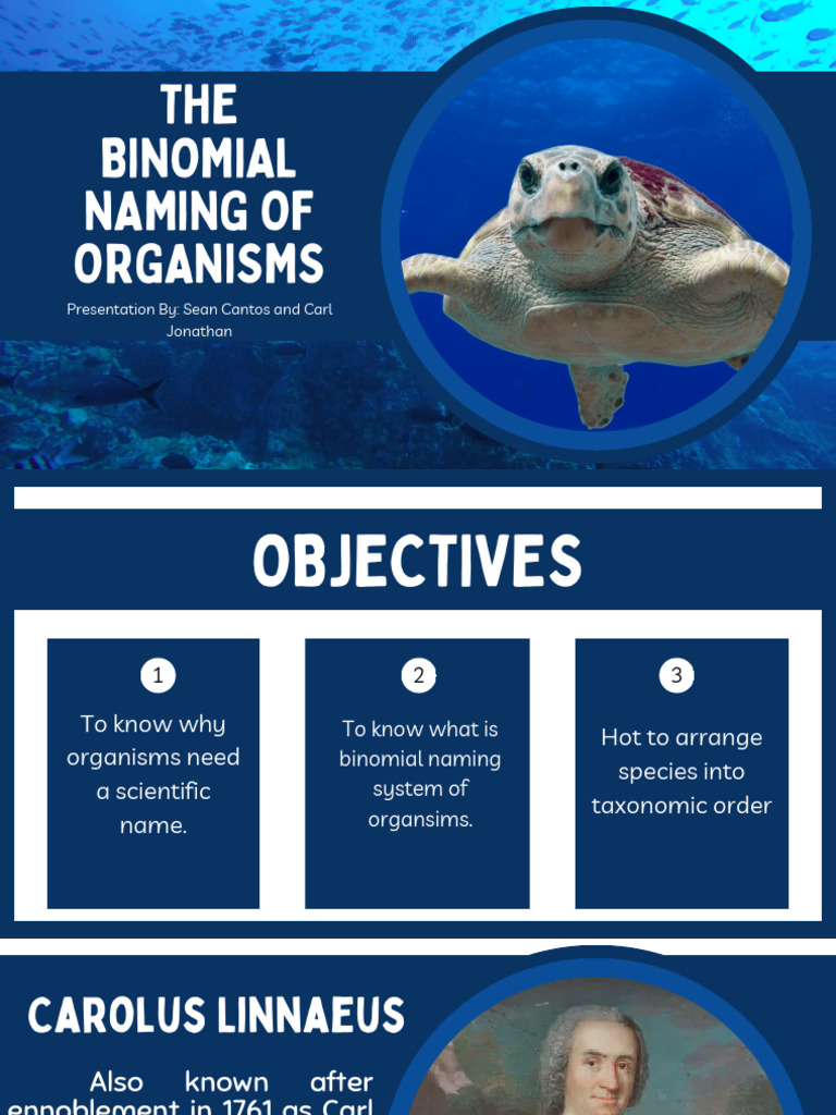 The Binomial Naming of Organisms Ang Hiearchy of Taxonomic ...