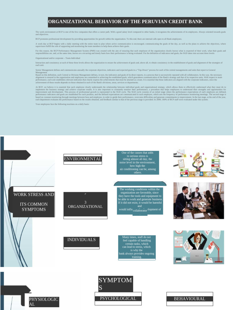 Organizational Behavior of The Bank of Credit of Peru | PDF | Goal ...