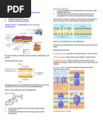 Amoeba Sisters Video Recap | PDF | Cell Membrane | Cell (Biology)