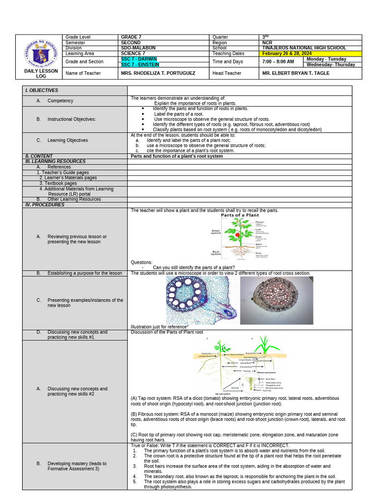 R. PORTUGUEZ-WLP-SCIENCE ELEC-7-Q3- FEB 26-28, 2024 | PDF | Root | Branches Of Botany