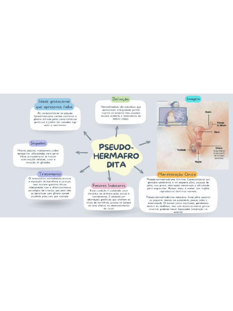 Mapa mental pseudo-hermafrodita | PDF