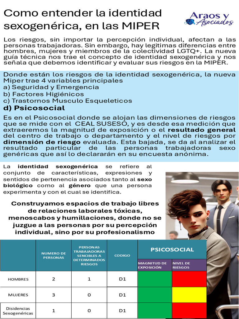 Riesgos Sexogenéricos en MIPER | PDF