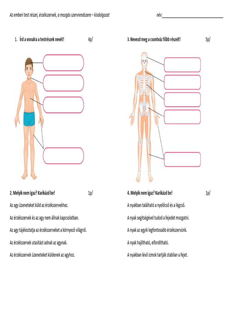 Testrészek-Mozgás Kisdoga | PDF
