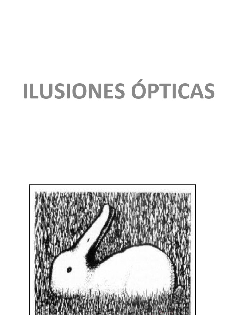 ILUSIONES OPTICAS | PDF