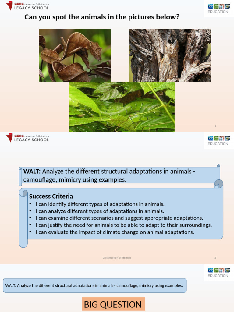 p2 Structural Adaptation | PDF | Adaptation | Mimicry