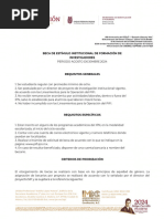 Lineamientos Beifi | PDF