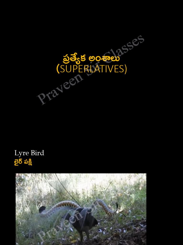 Jan Week 2 - 29425267 - 2024 - 12 - 23 - 20 - 20 | PDF