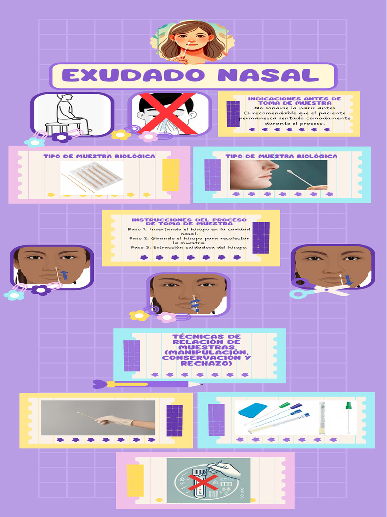 Exudado Nasal infografia | PDF