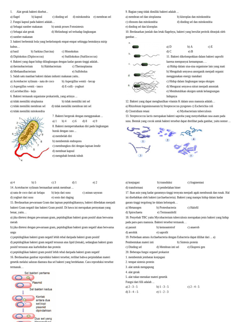 Soal Bakteri X | PDF