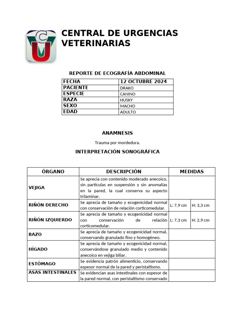 Ecografía Abdominal en Husky con Trauma | PDF | Ultrasonido médico | Enfermedades y trastornos