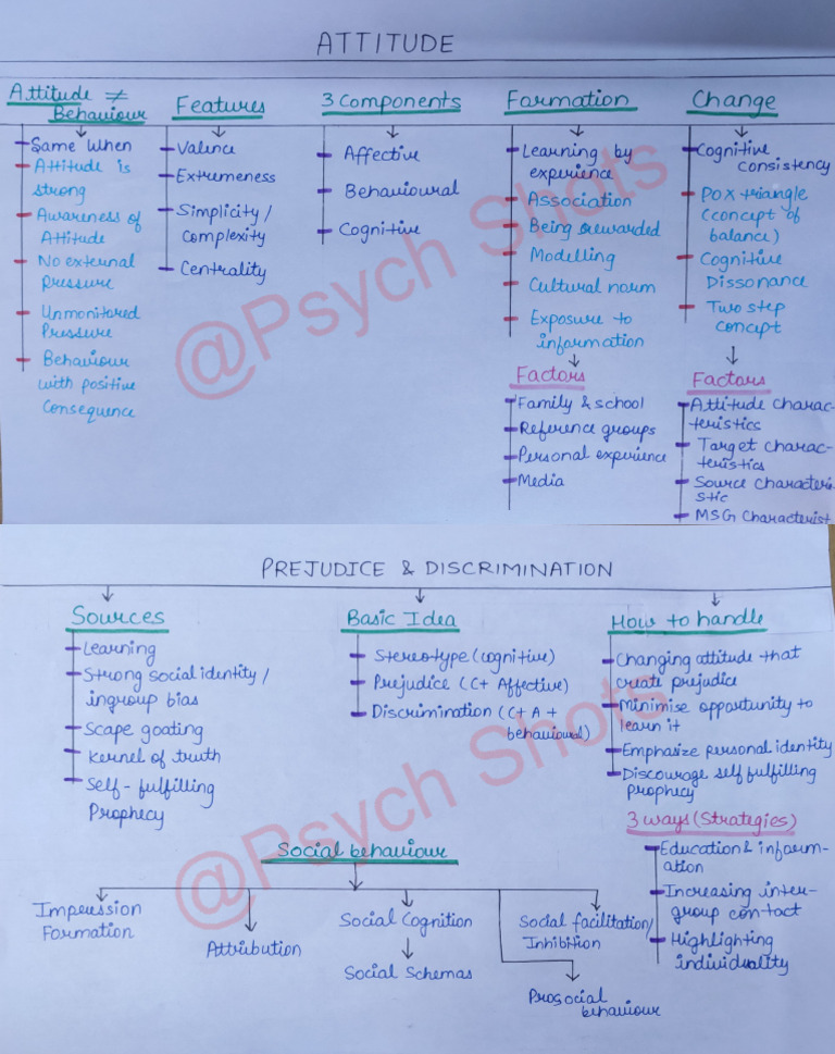 Chapter 6 flow (1) | PDF | Psychological Concepts | Psychological Attitude