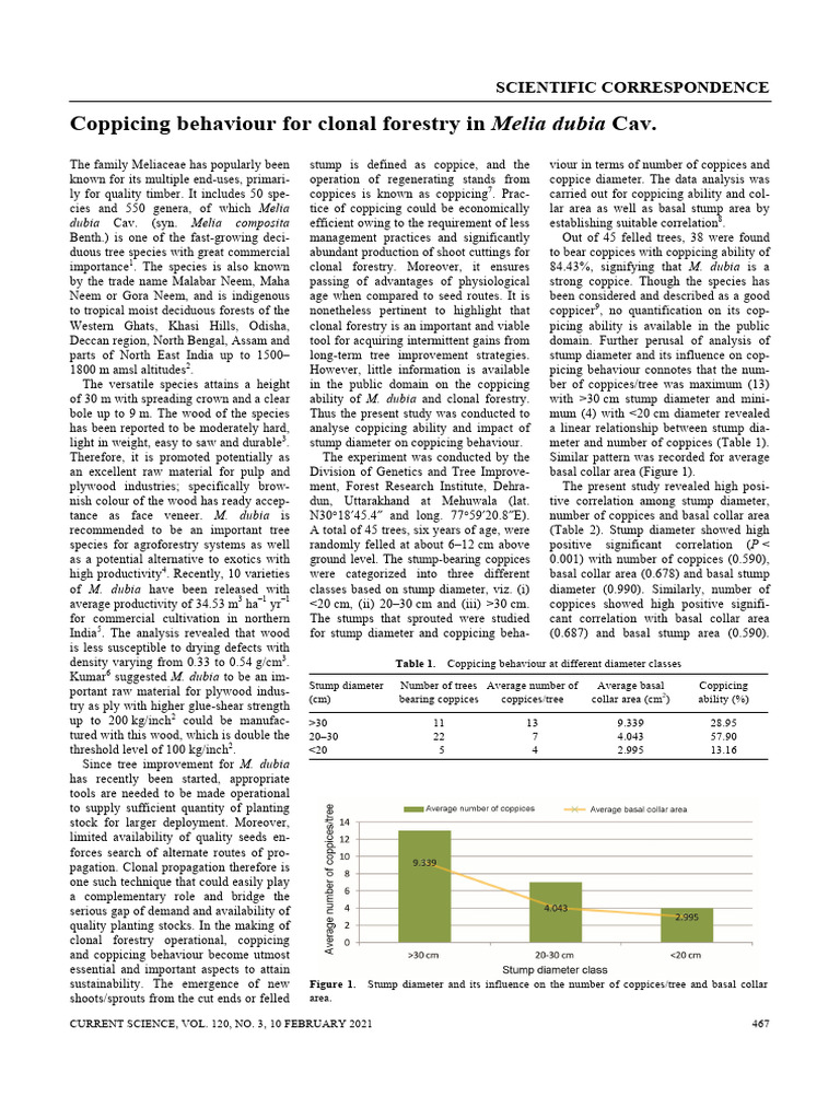 Coppicing behaviour for clonal forestry in Melia dubia Cav. | PDF ...