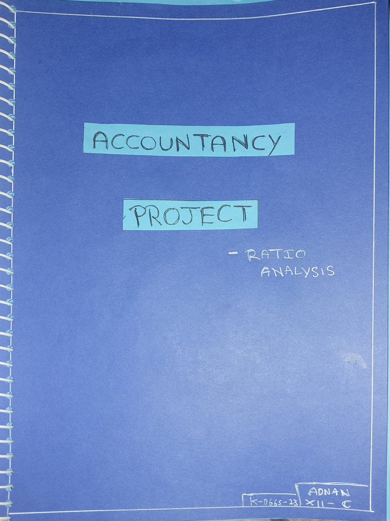Financial Report for Analysts | PDF