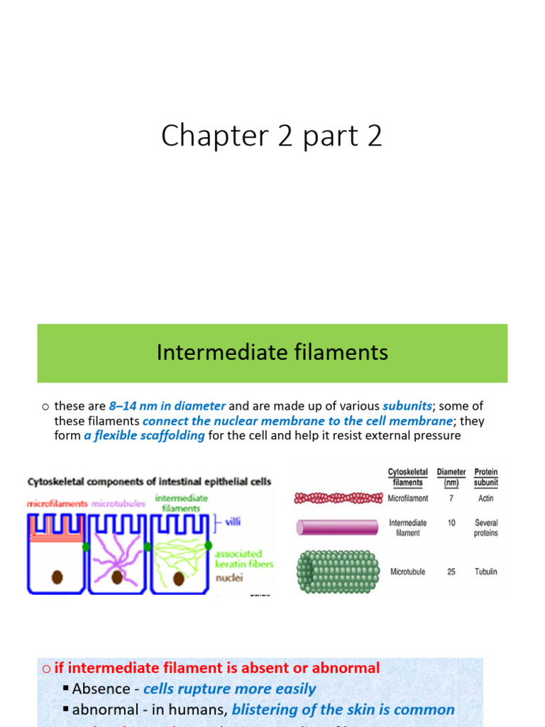 PDF Physio Chapter 2 Part 2 | PDF | Cell Adhesion | Biochemistry