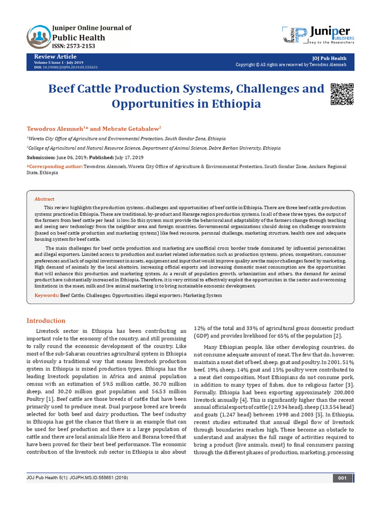 Beef Cattle Production | PDF | Livestock | Meat