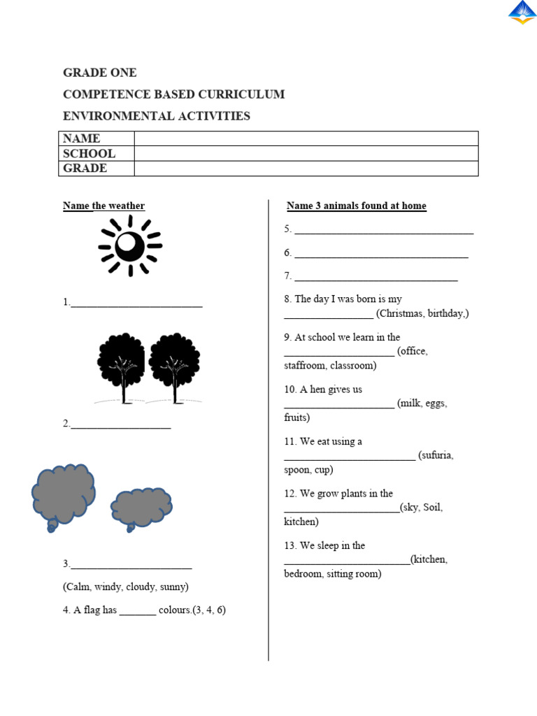 Grade 1 Environmental Activities | PDF