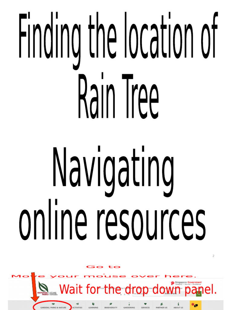 Discover the Rain Tree Location | PDF